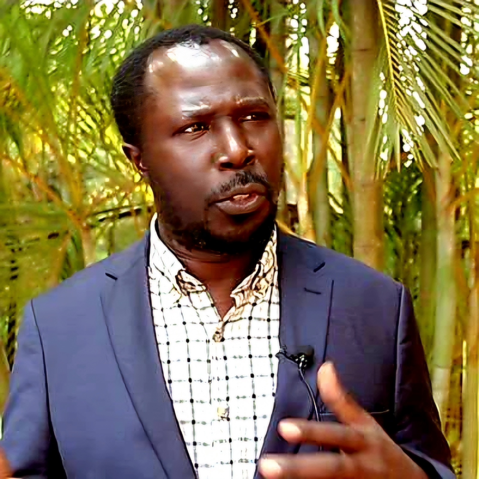 Home-Line Academy | Accredited K-12 Homeschool Program